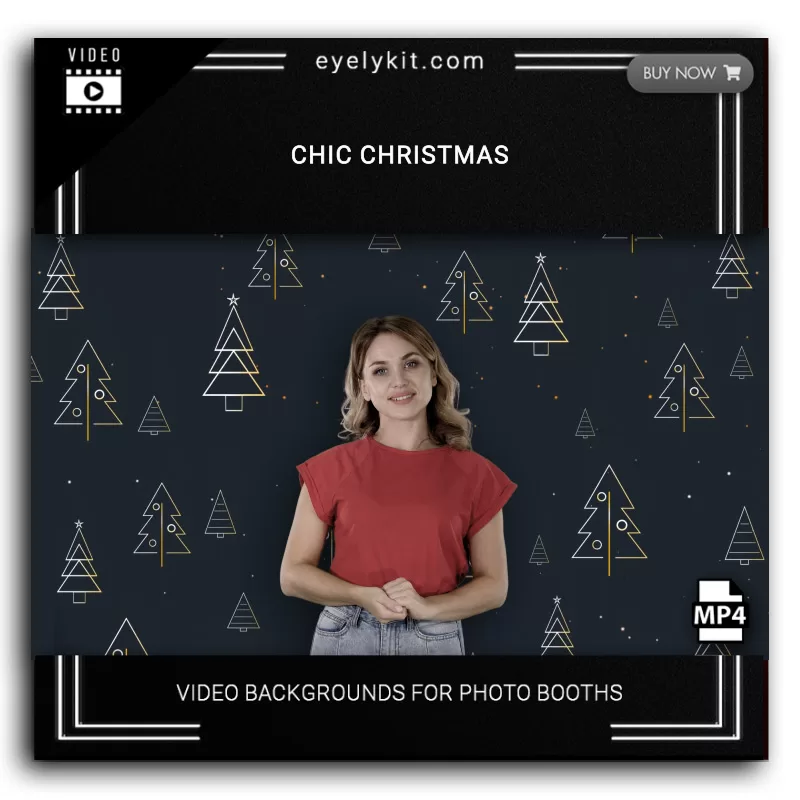 Background Photo Booths Free CHIC CHRISTMAS - 100's