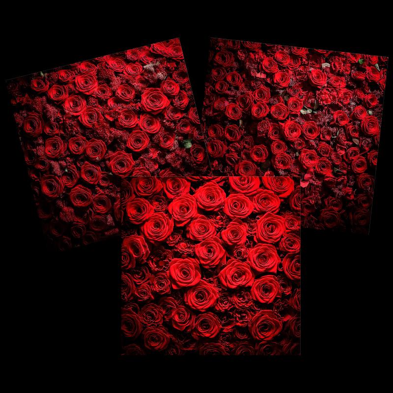 100+ Stunning Flower Wall Backdrops Virtual Downloads